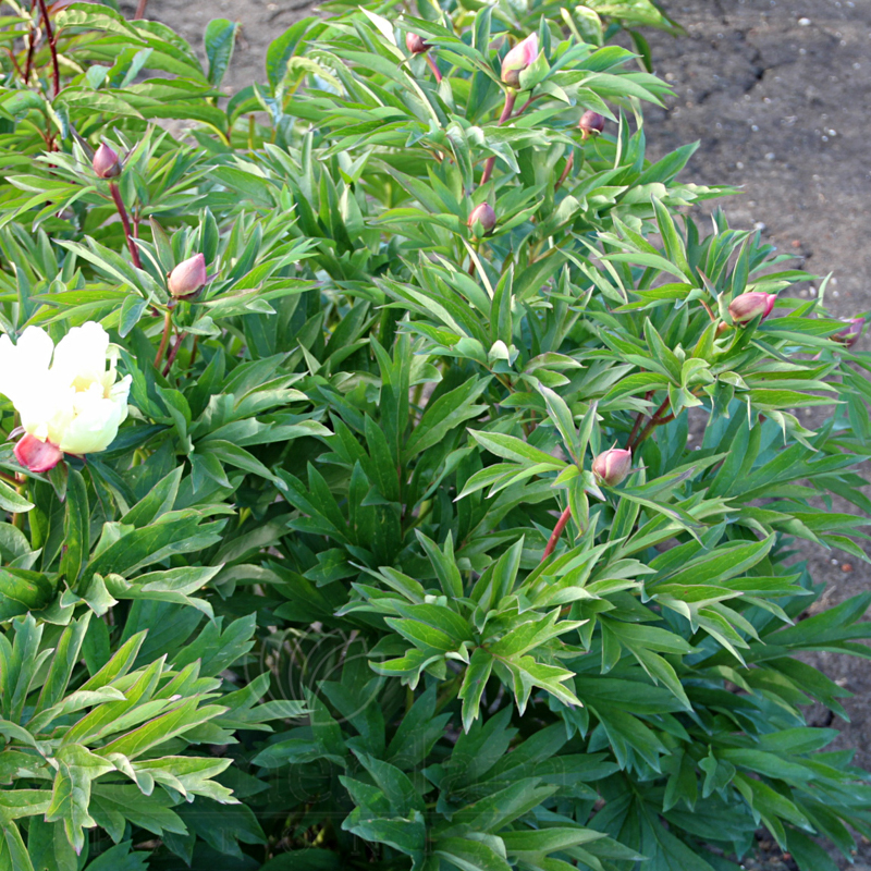 Unable to fetch data.